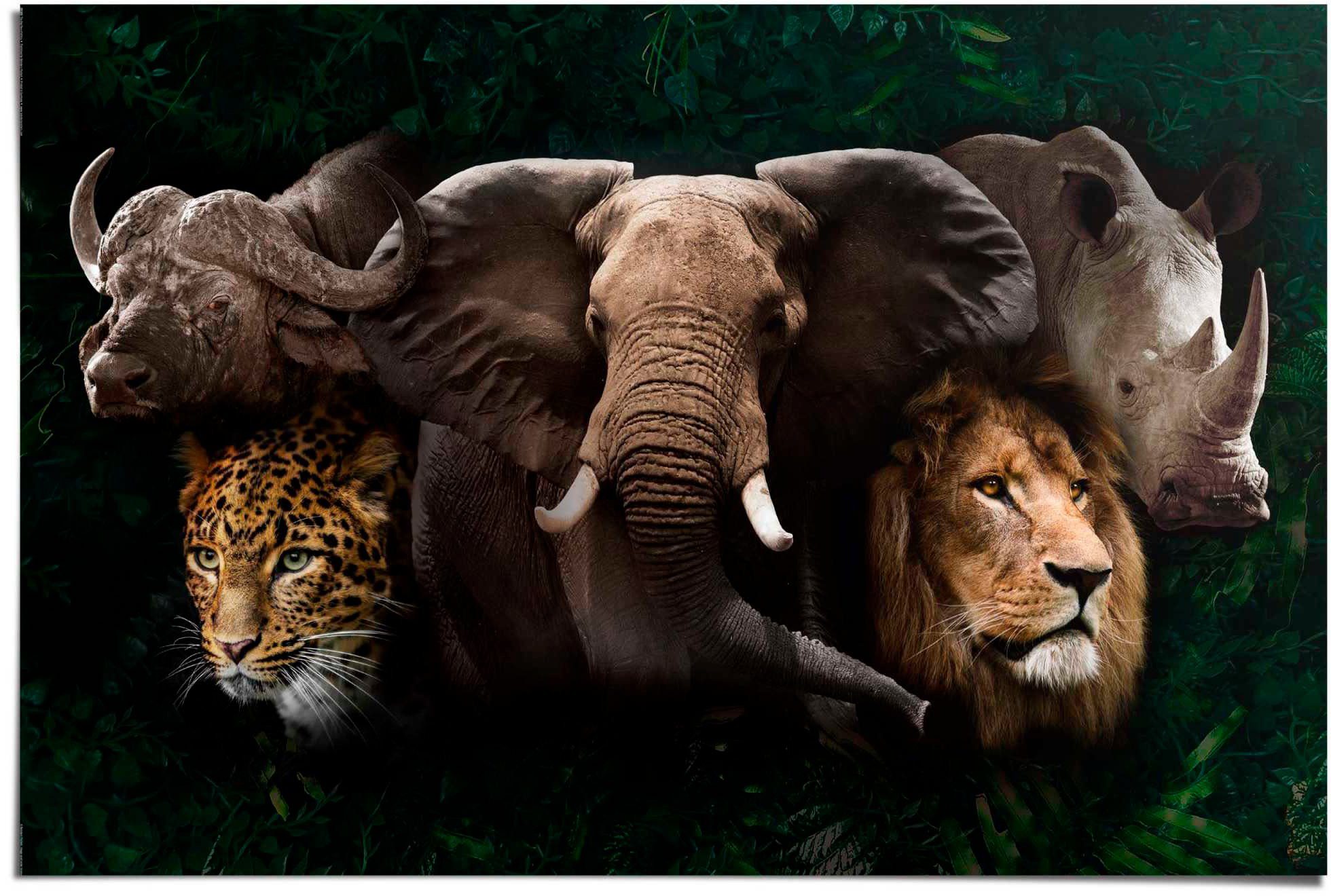 Reinders! Poster The big five vind je bij | OTTO