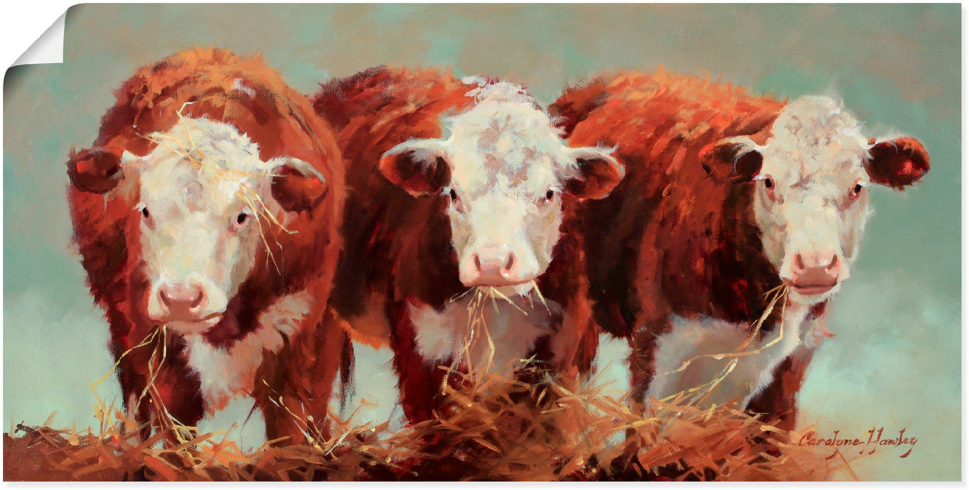 Artland Poster Drie van dezelfde als artprint van aluminium, artprint ...