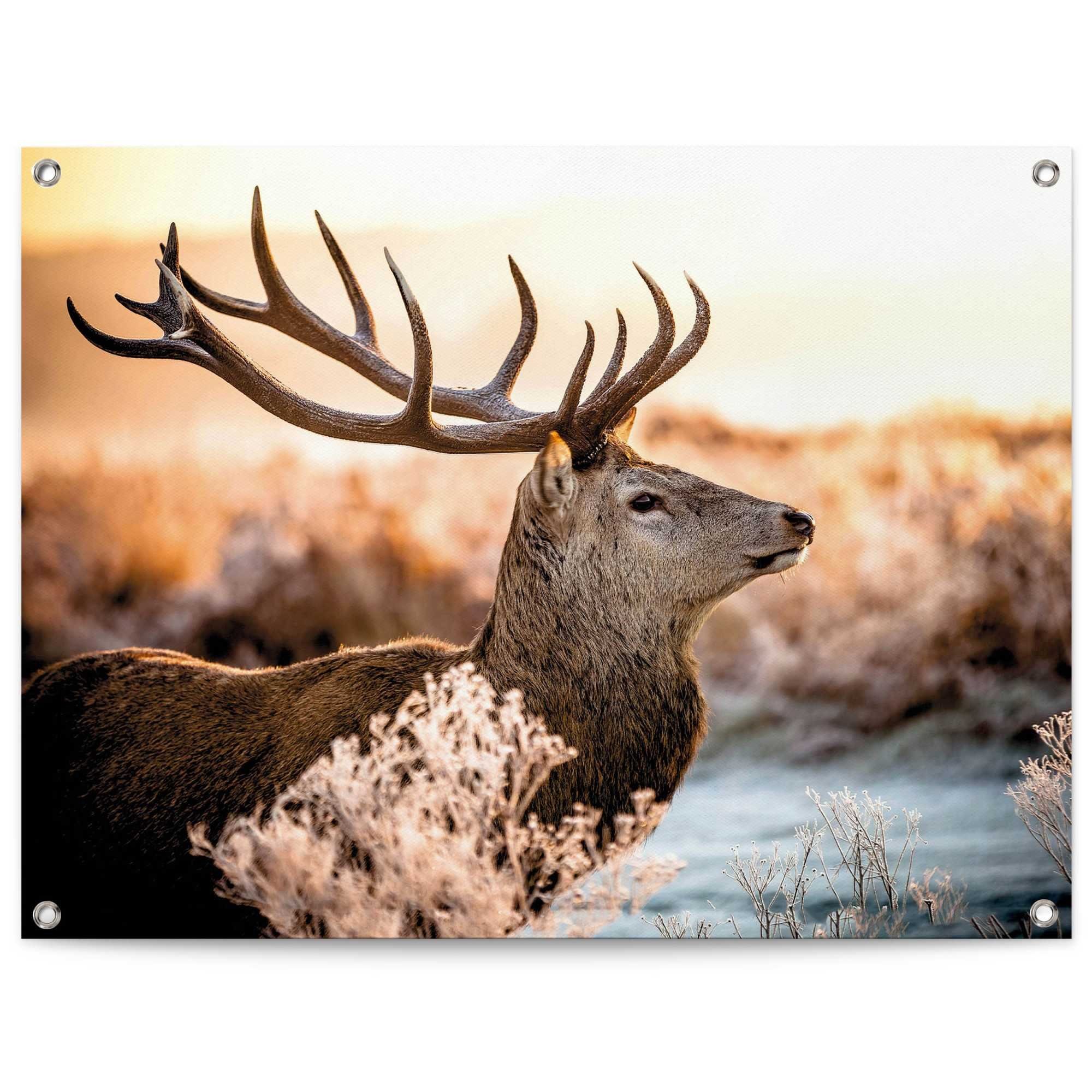 Reinders! Poster Edelhert Outdoor voor tuin of balkon makkelijk besteld ...