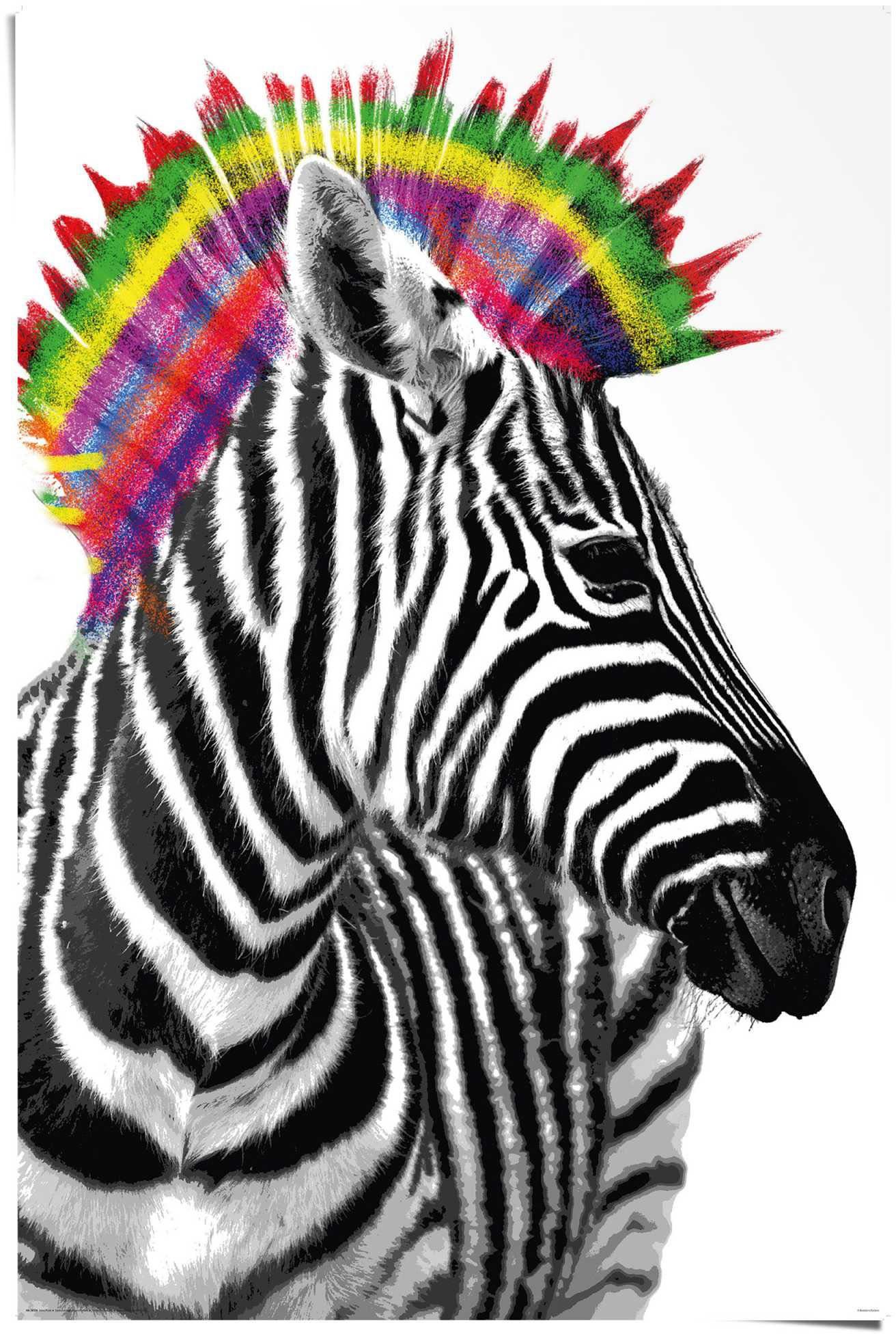 Reinders! Poster Zebra Punk online verkrijgbaar | OTTO