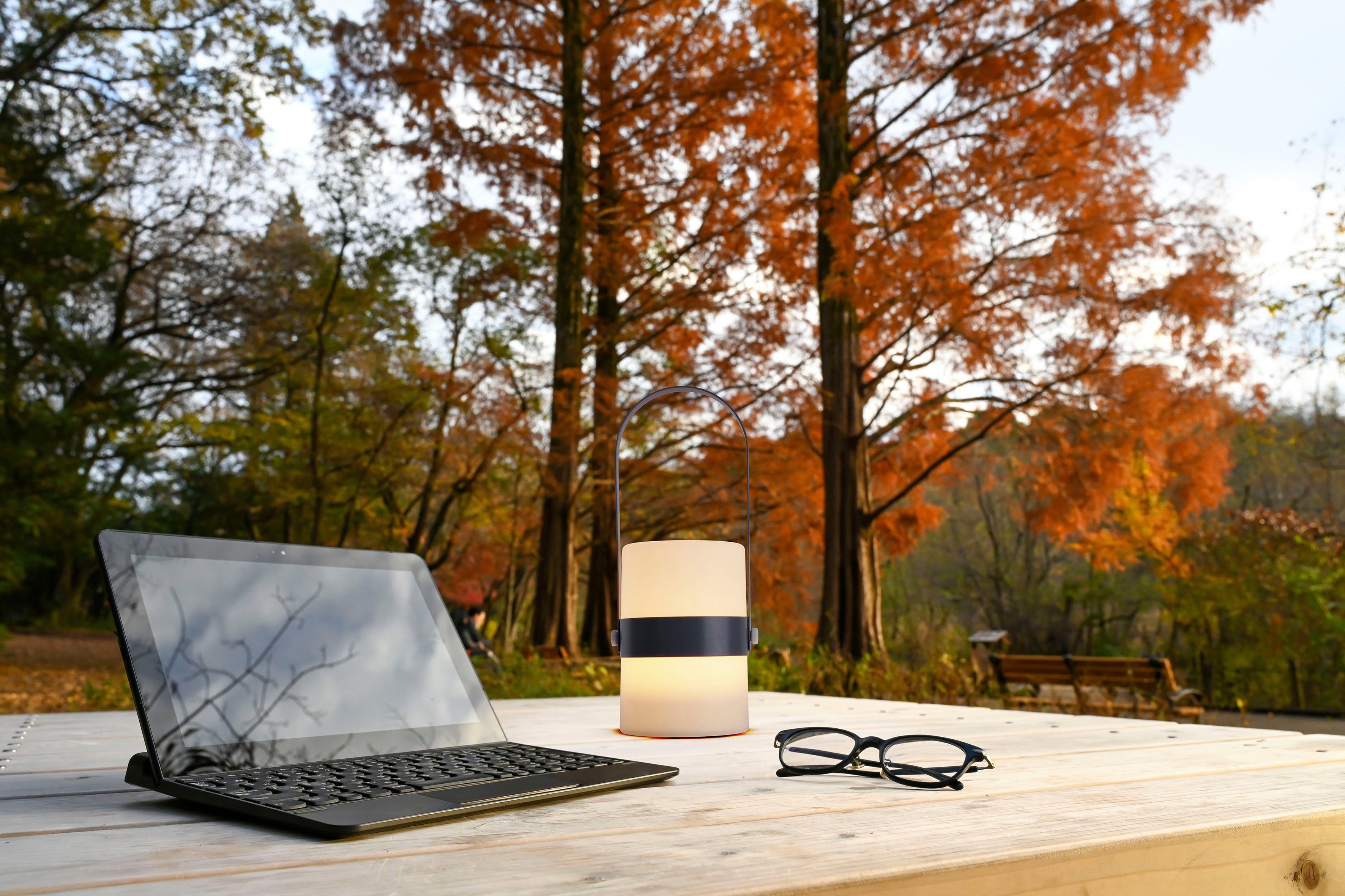 näve Decoratieve ledverlichting Neo (1 stuk) snel online gekocht | OTTO